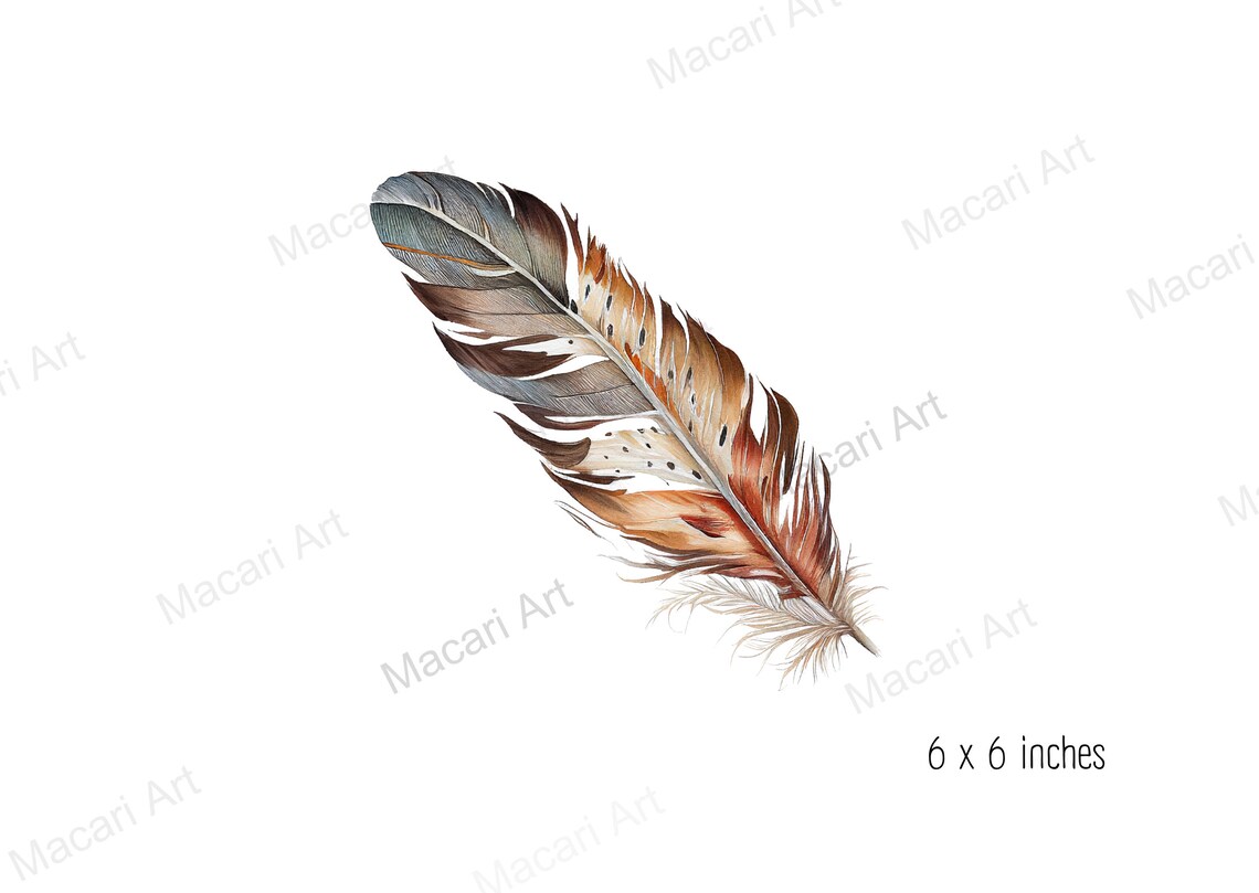 Feather Watercolor Clipart Boho Feather Digital Clipart - Etsy