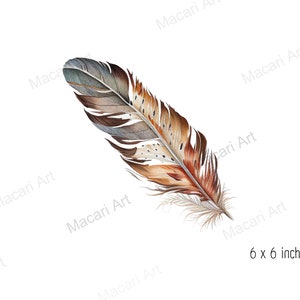 Feather Watercolor Clipart Boho Feather Digital Clipart - Etsy
