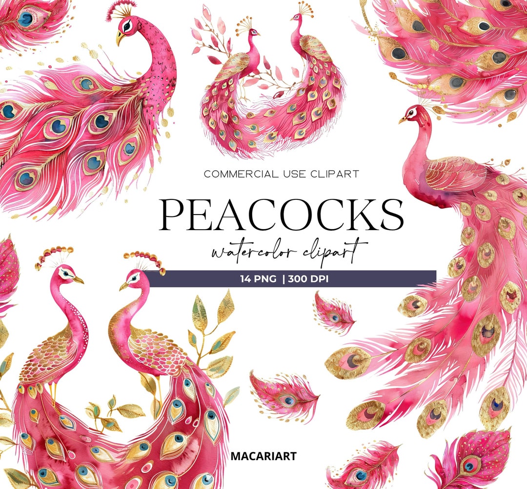Watercolor Pink Gold Peacocks Clipart Bird Boho Peacock Art Cute Animal ...