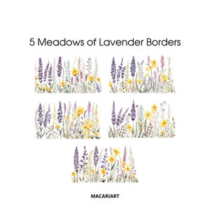 Lavender Borders Clipart Floral Watercolor Borders Wildflowers Seamless ...