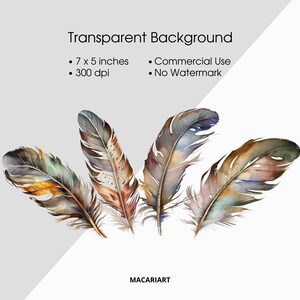 Feather Watercolor Clipart Boho Feather Digital Clipart Feather Wall ...