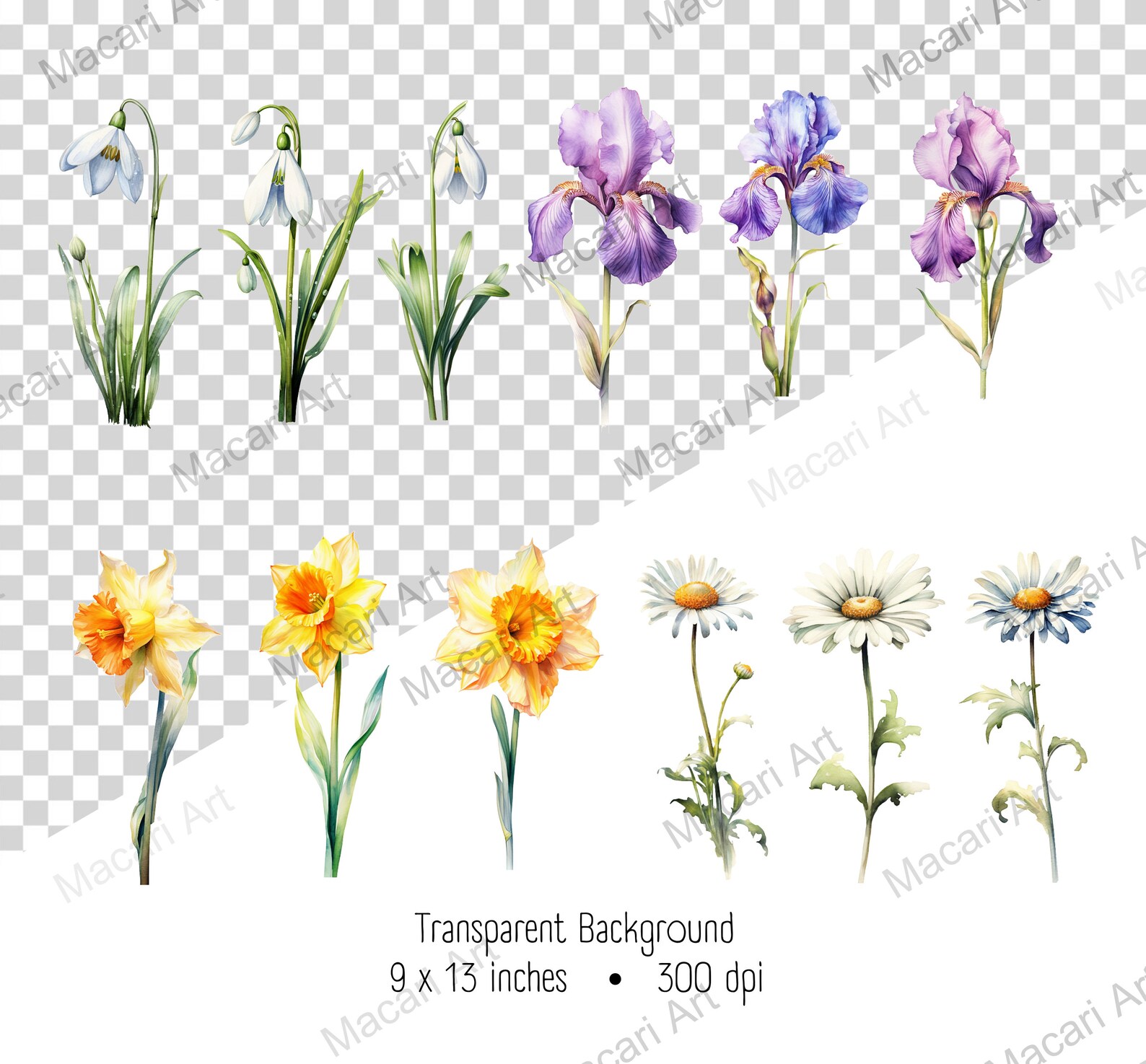 Watercolor Birth Month Flowers Clipart Bundle Digital Watercolor Birth ...
