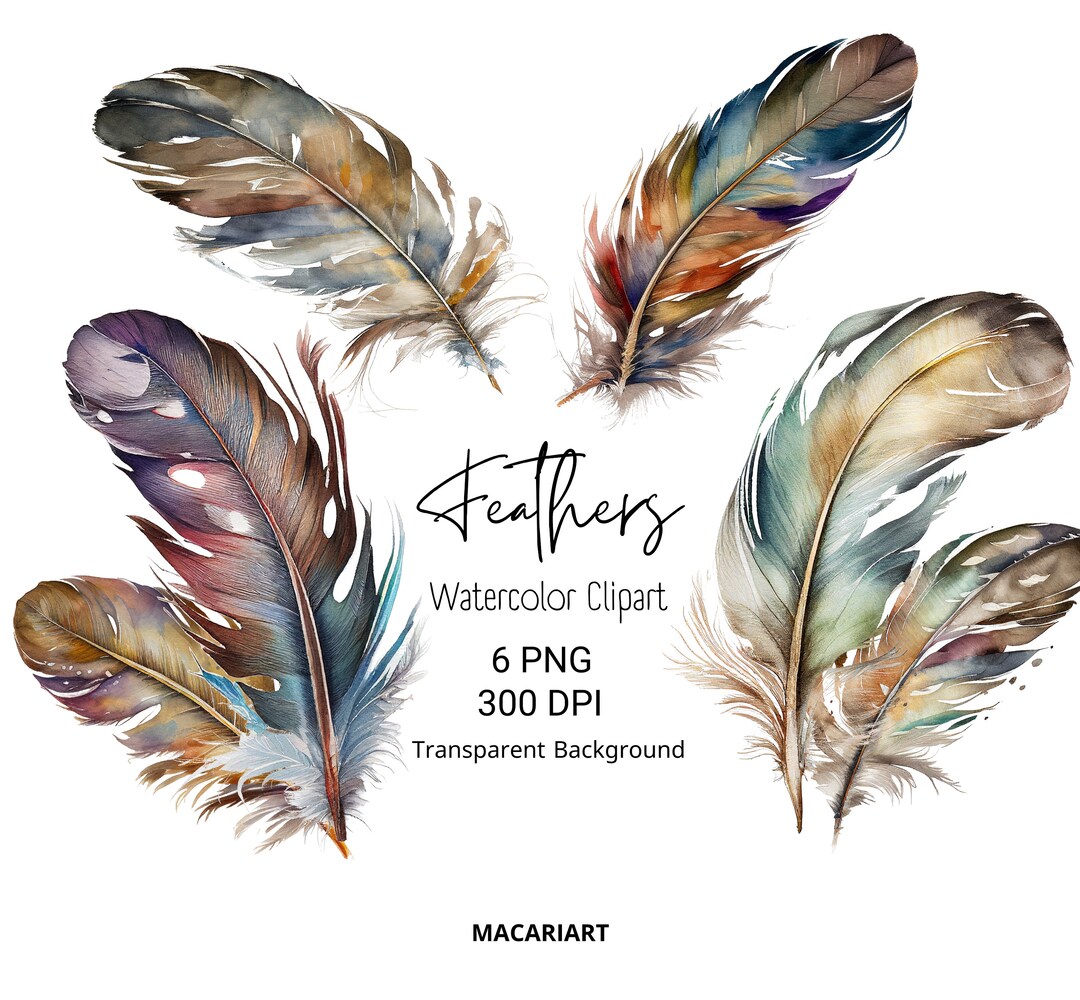 Feather Watercolor Clipart Boho Feather Digital Clipart Feather Wall ...