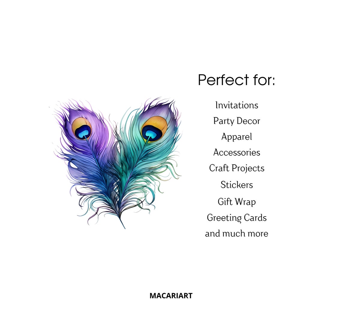 Peacock Feather Clipart Watercolor Colorful Feathers Bird Clip Art ...