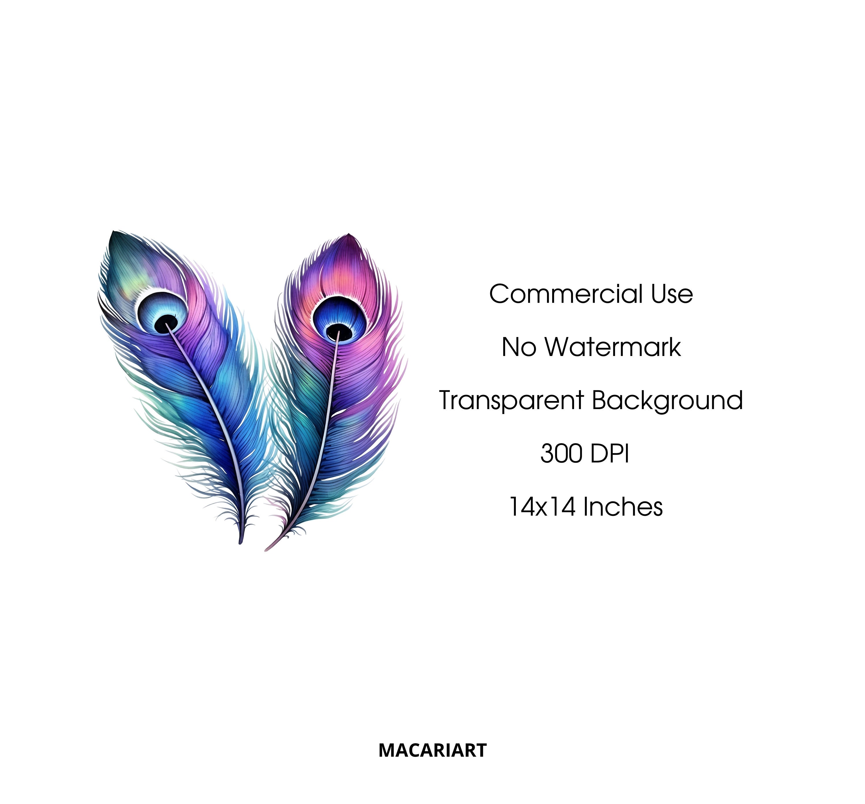 Peacock Feather Clipart Watercolor Colorful Feathers Bird Clip Art ...