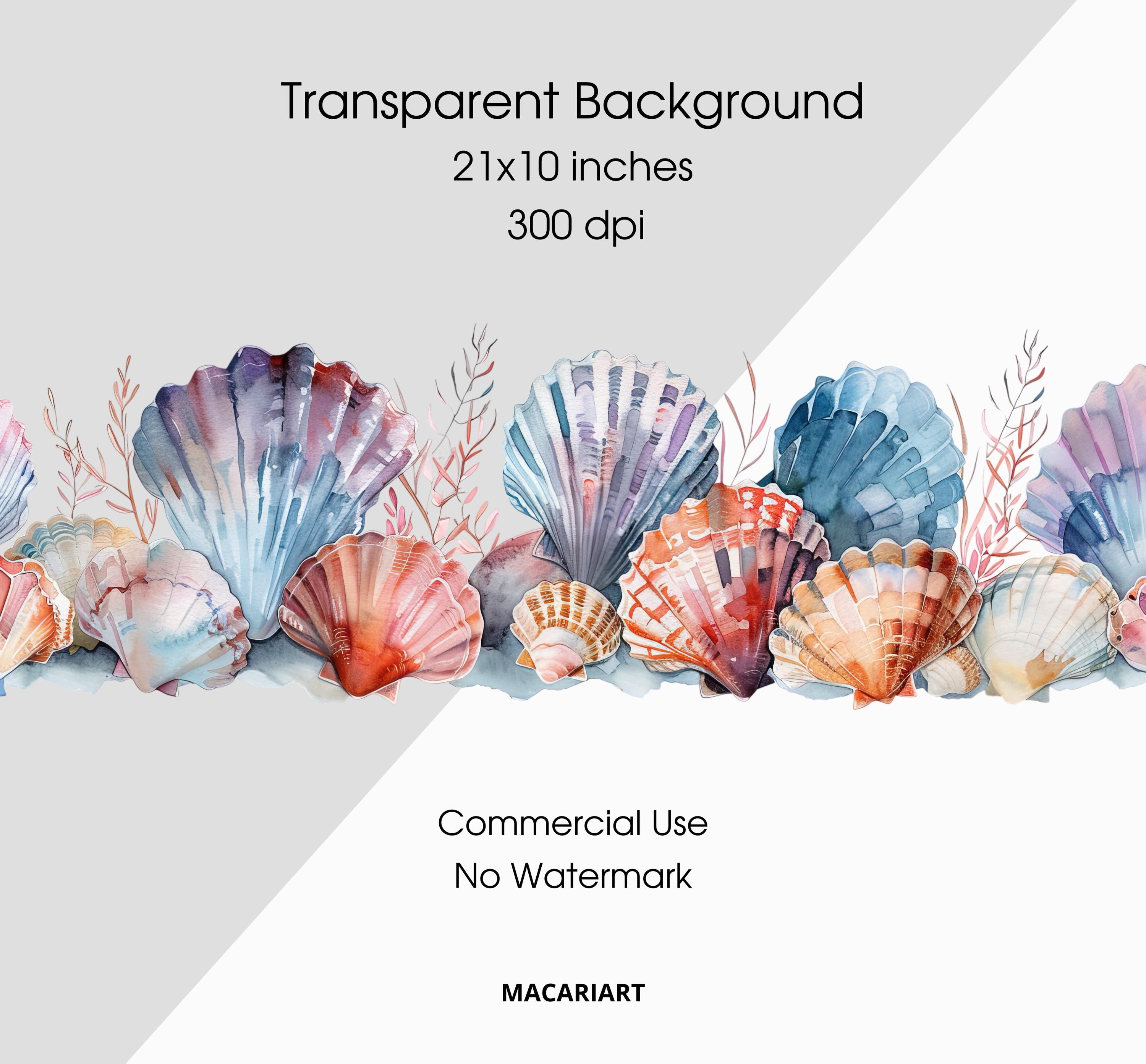 Seashell Border Clipart Sea Theme Border Ocean Decor for Card Making ...