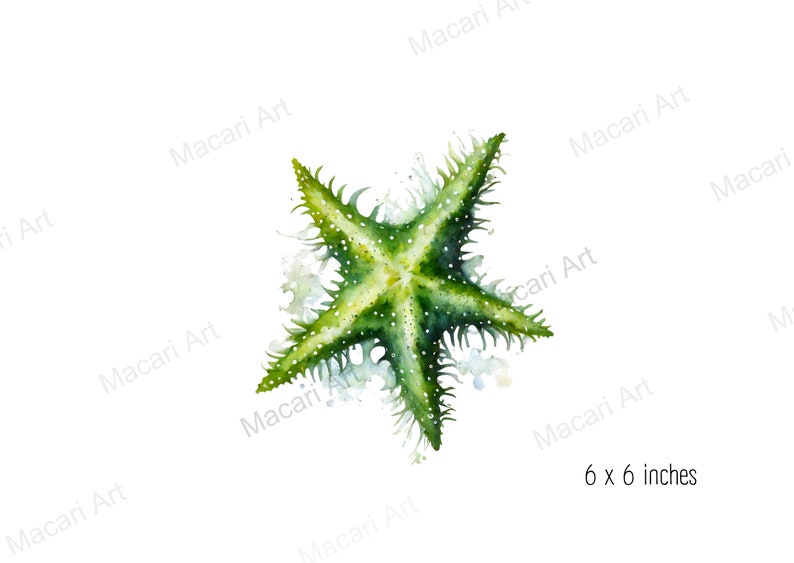 Watercolor Under the Sea Clipart Starfish Wall Art Bathroom Decor ...