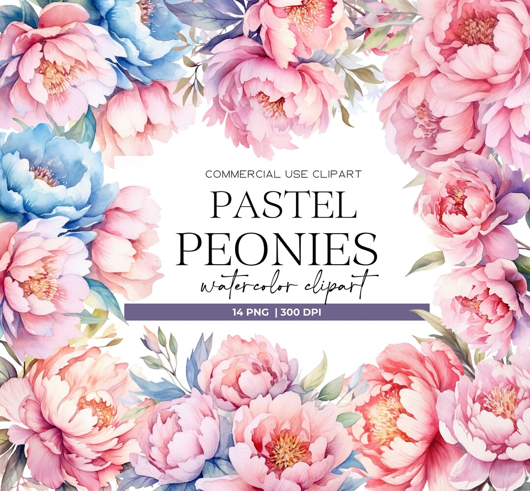 Peony Watercolor Clipart Elegant Bohemian Flowers Romantic Wedding ...