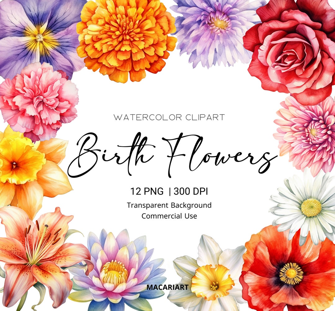 Watercolor Birth Month Flowers Clipart Bundle Digital Watercolor Birth ...