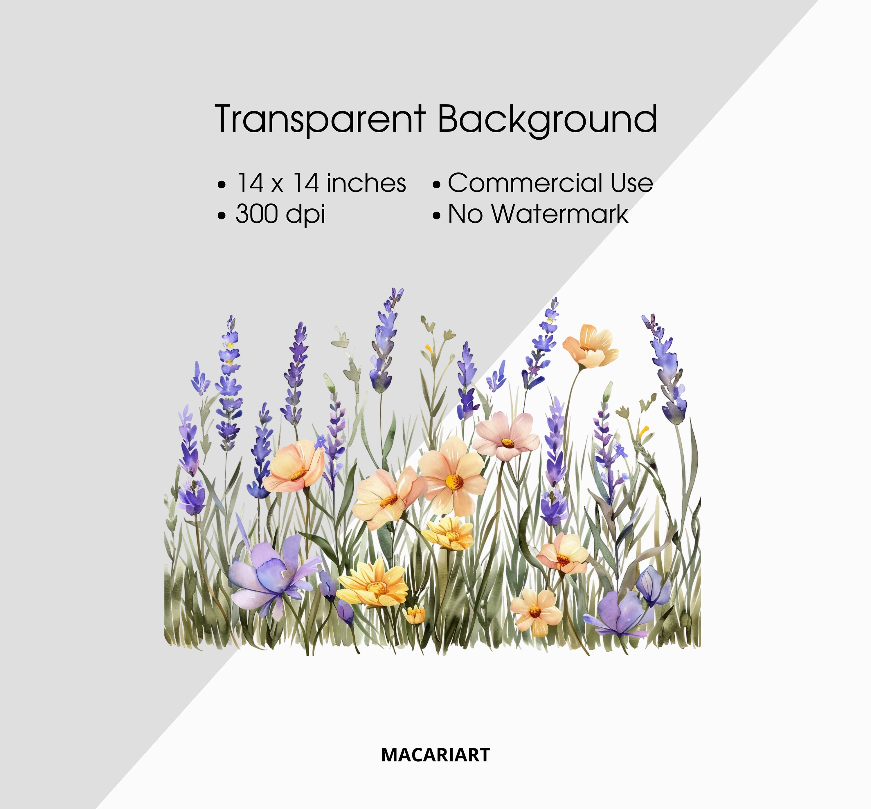 Wildflowers Borders Clipart Floral Watercolor Borders Lavender Flowers ...