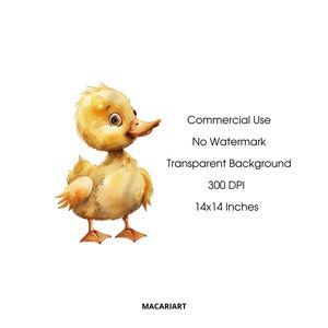 Cute Duckling Clipart Baby Ducks Png Funny Duck Cute Baby Duck Clip Art ...