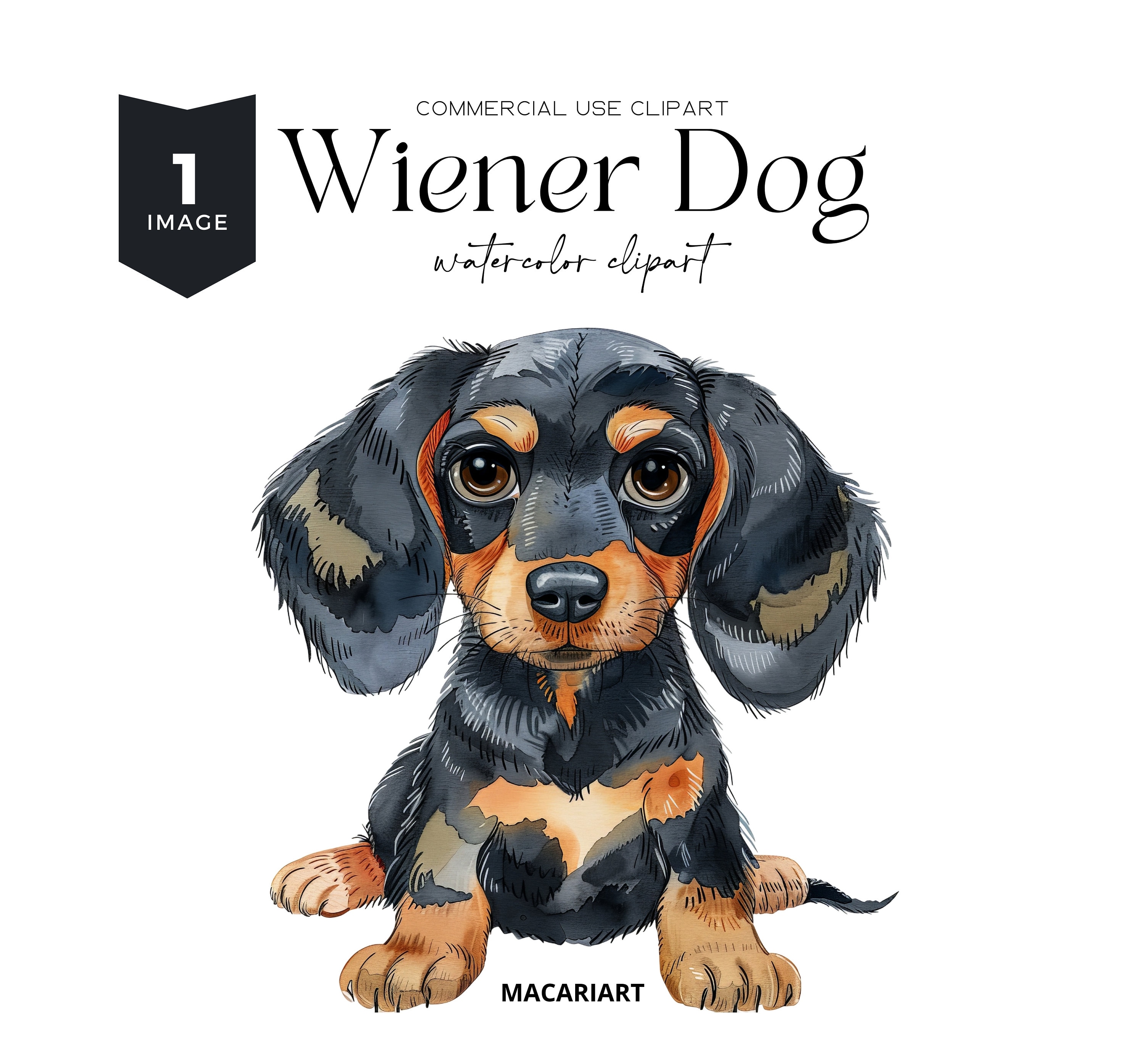 Wiener Dog Clipart Dachshund Png Sausage Dog Wiener Dog Png Cute Dog ...