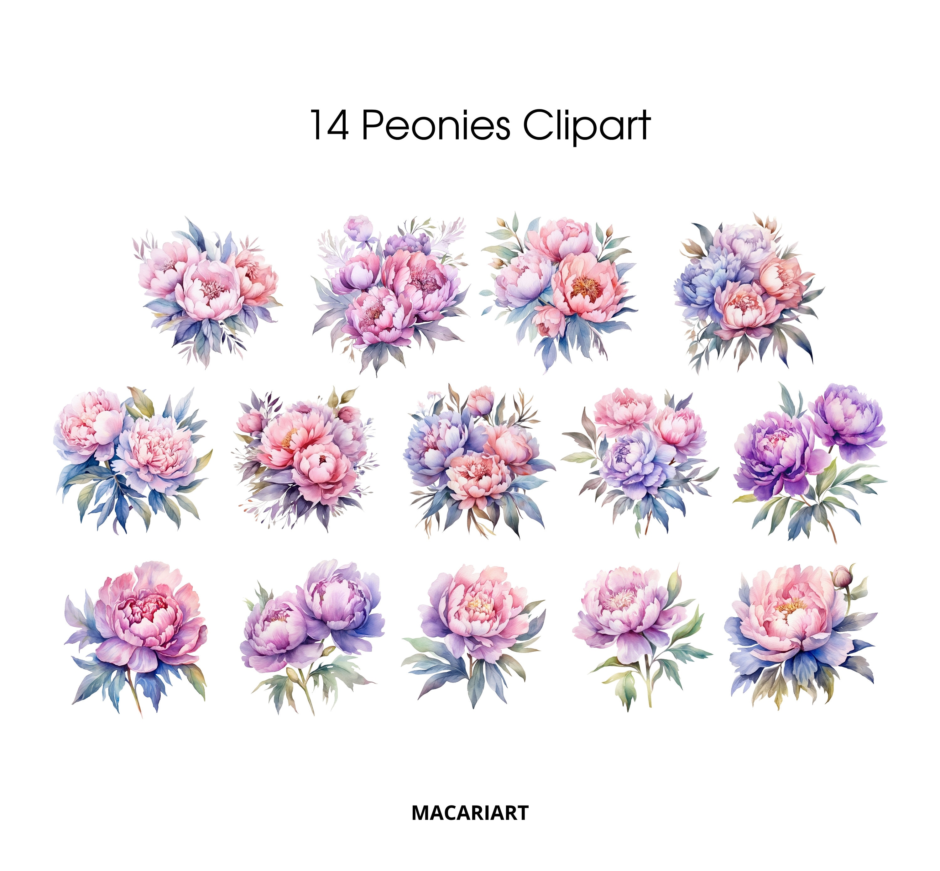 Peony Watercolor Clipart Elegant Bohemian Flowers Romantic Wedding ...