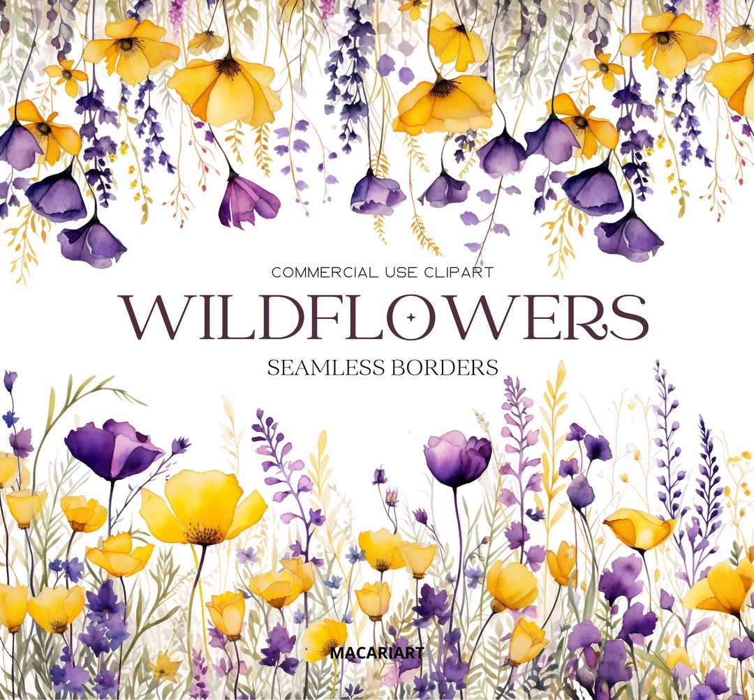 Wildflowers Borders Clipart Floral Watercolor Borders Flowers Seamless ...
