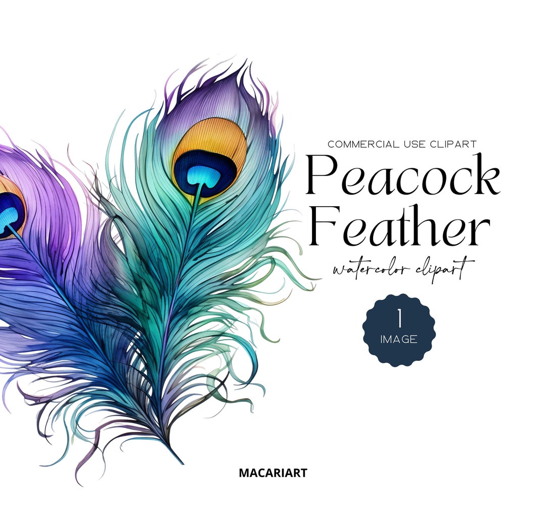 Peacock Feather Clipart Watercolor Colorful Feathers Bird Clip Art ...