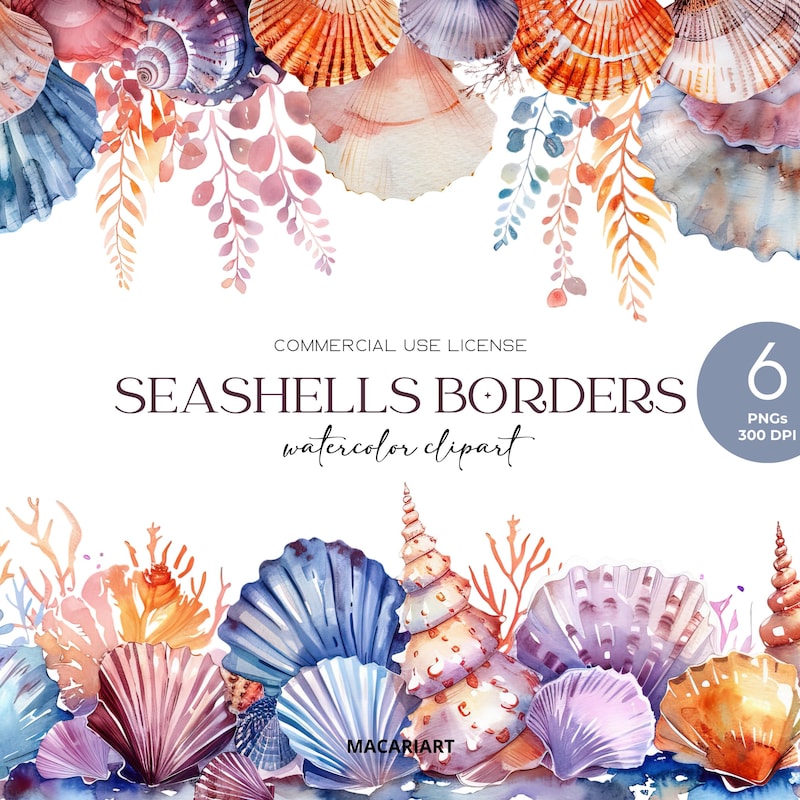 Seashell Border - Etsy