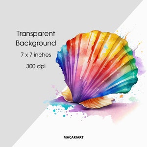 Watercolor Seashell Clipart Ocean Clipart Sea Beach Clipart Seashell ...