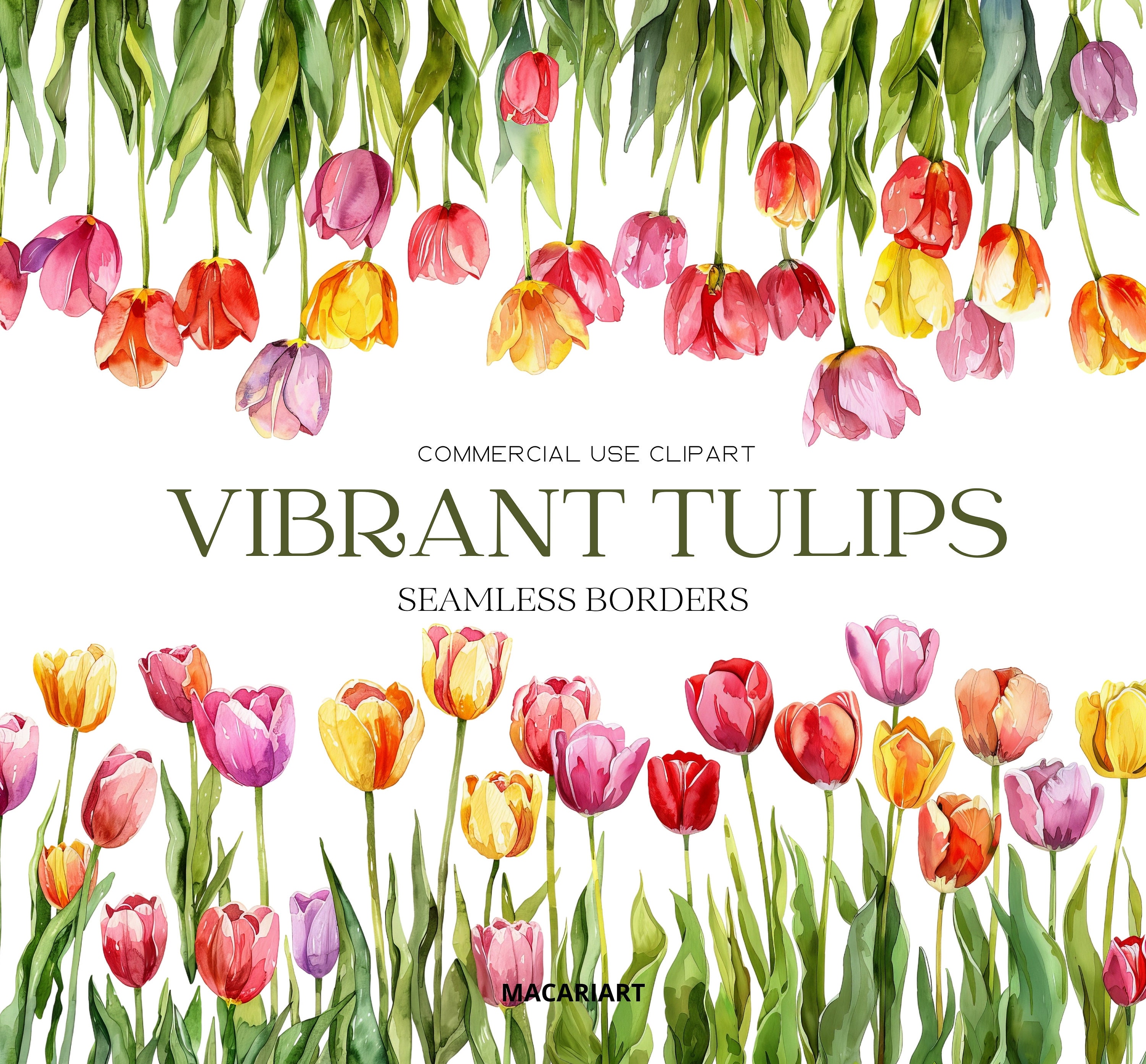 Watercolor Tulips Clipart Spring Flowers Tulip Png Watercolor Flower ...