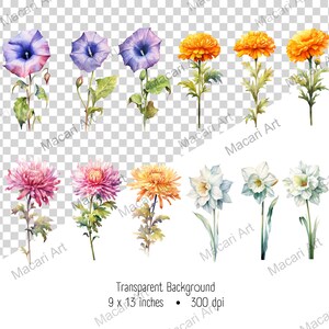 Watercolor Birth Month Flowers Clipart Bundle Digital Watercolor Birth ...
