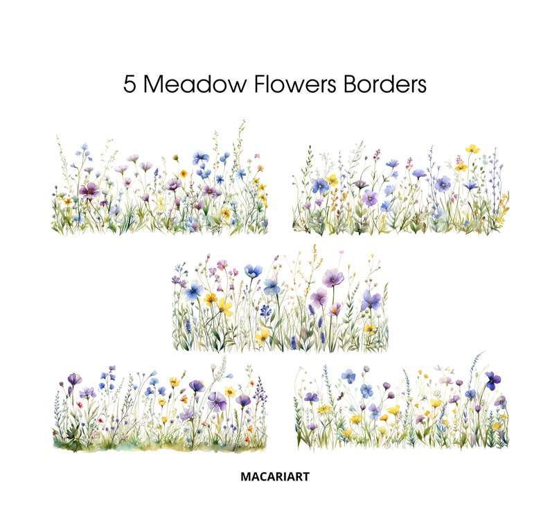 Meadow Flowers Borders Clipart Floral Watercolor Borders Flowers ...