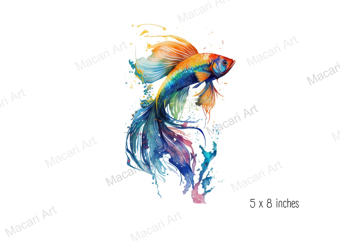 Watercolor Betta Fish Clipart Digital Clipart Fish Wall Decor ...
