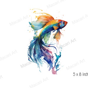 Watercolor Betta Fish Clipart Digital Clipart Fish Wall Decor ...