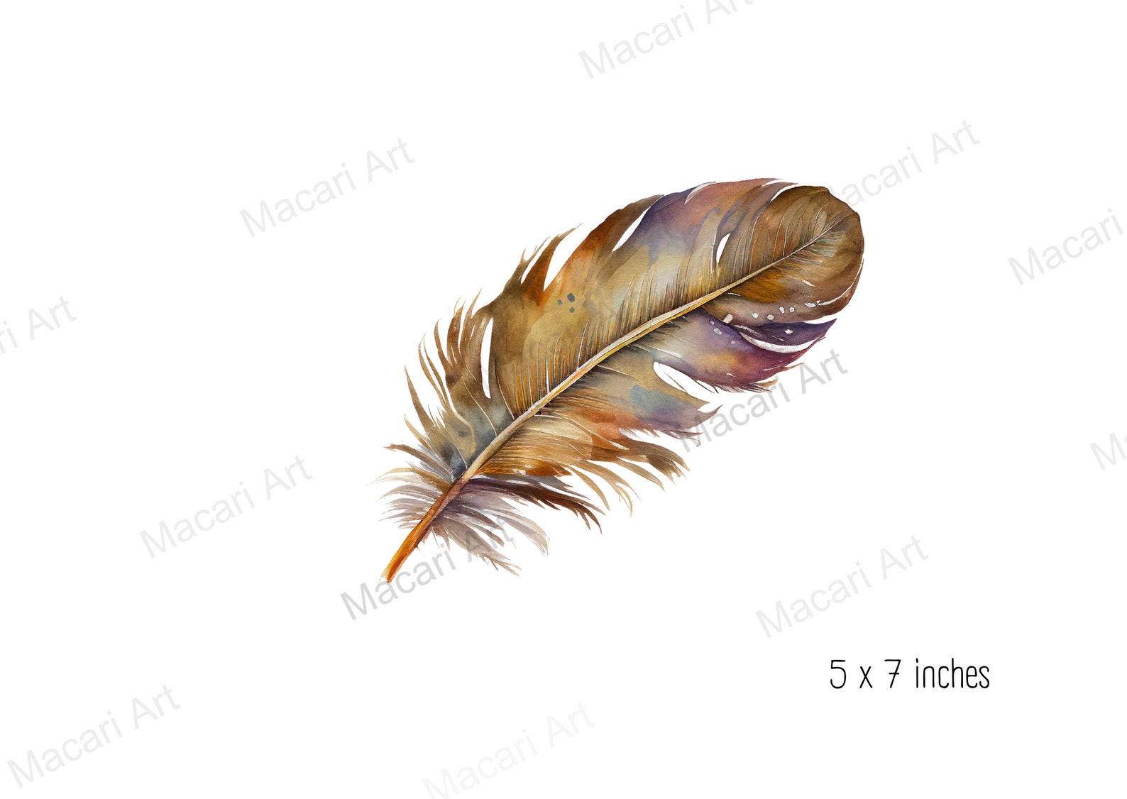 Feather Watercolor Clipart Boho Feather Digital Clipart - Etsy