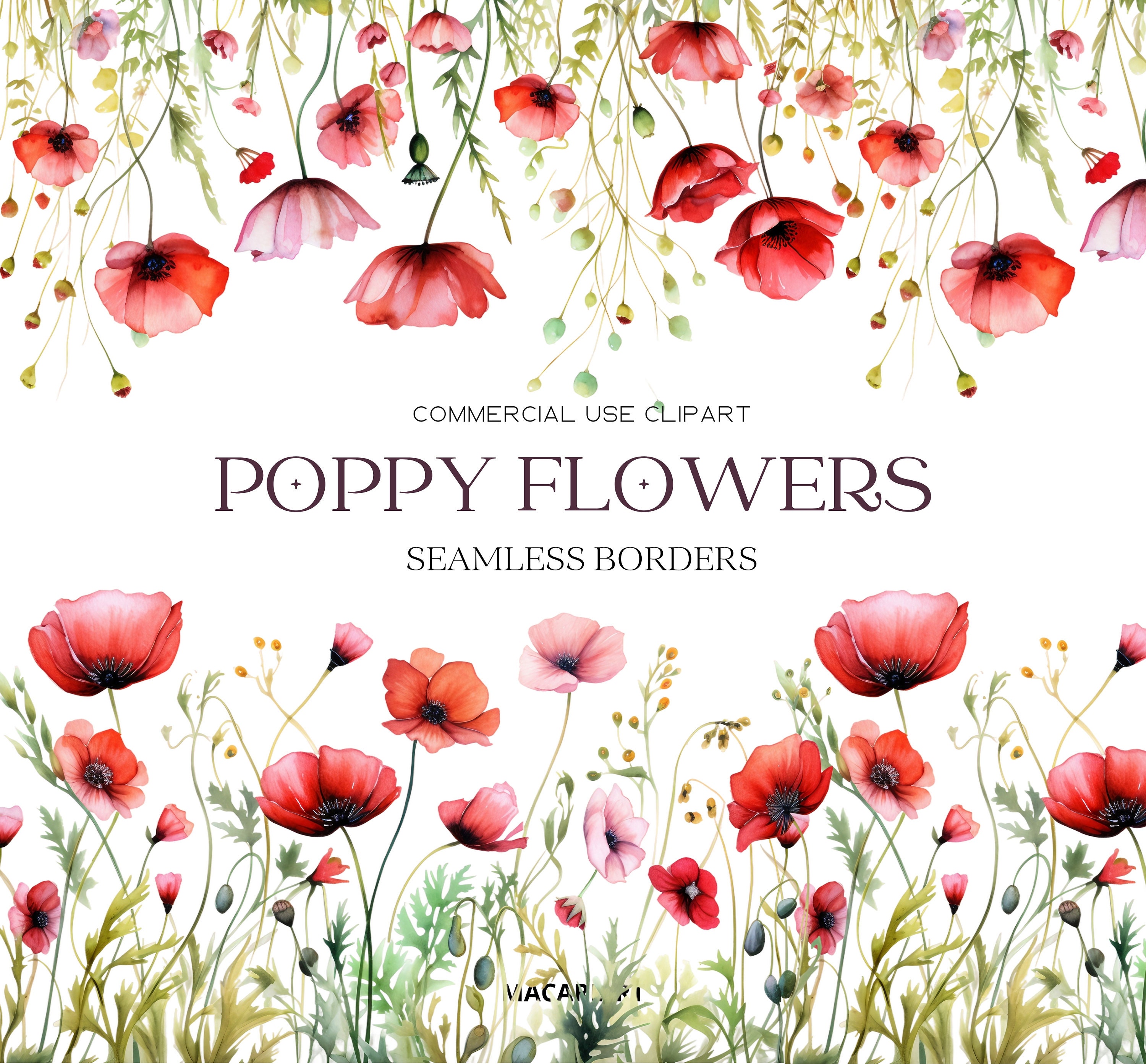 Poppies Borders Clipart Floral Watercolor Borders Red Flowers Seamless ...