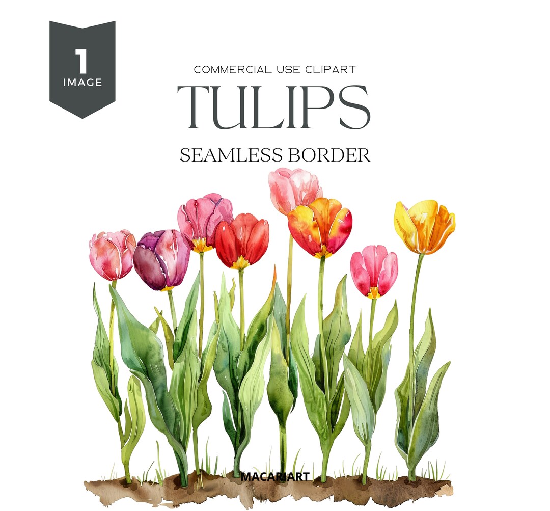 Watercolor Tulips Clipart Spring Flowers Tulip Png Watercolor Flower ...