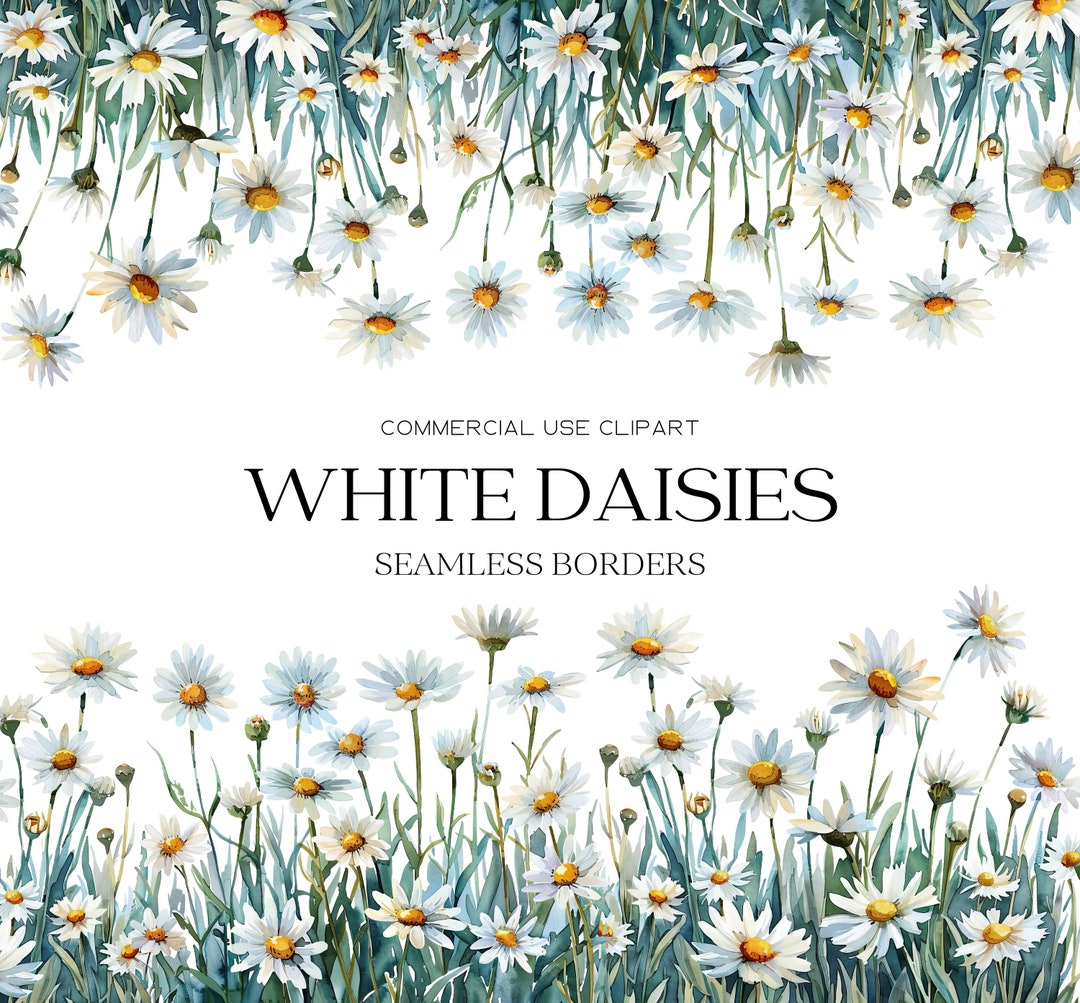 Watercolor Daisy Flower Border Clipart White Flowers Wedding Clip Art ...