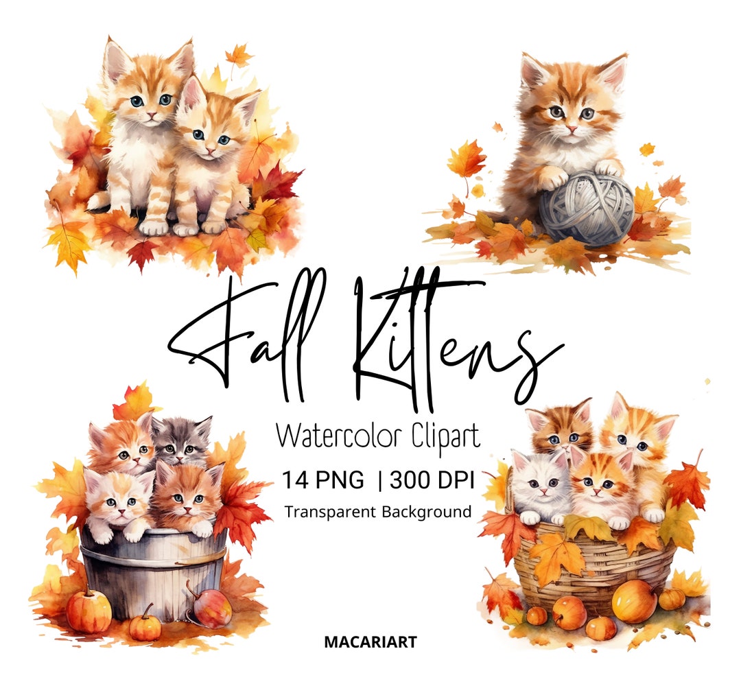 Watercolor Fall Clipart Fall Kittens Clipart Halloween Cat Watercolor ...