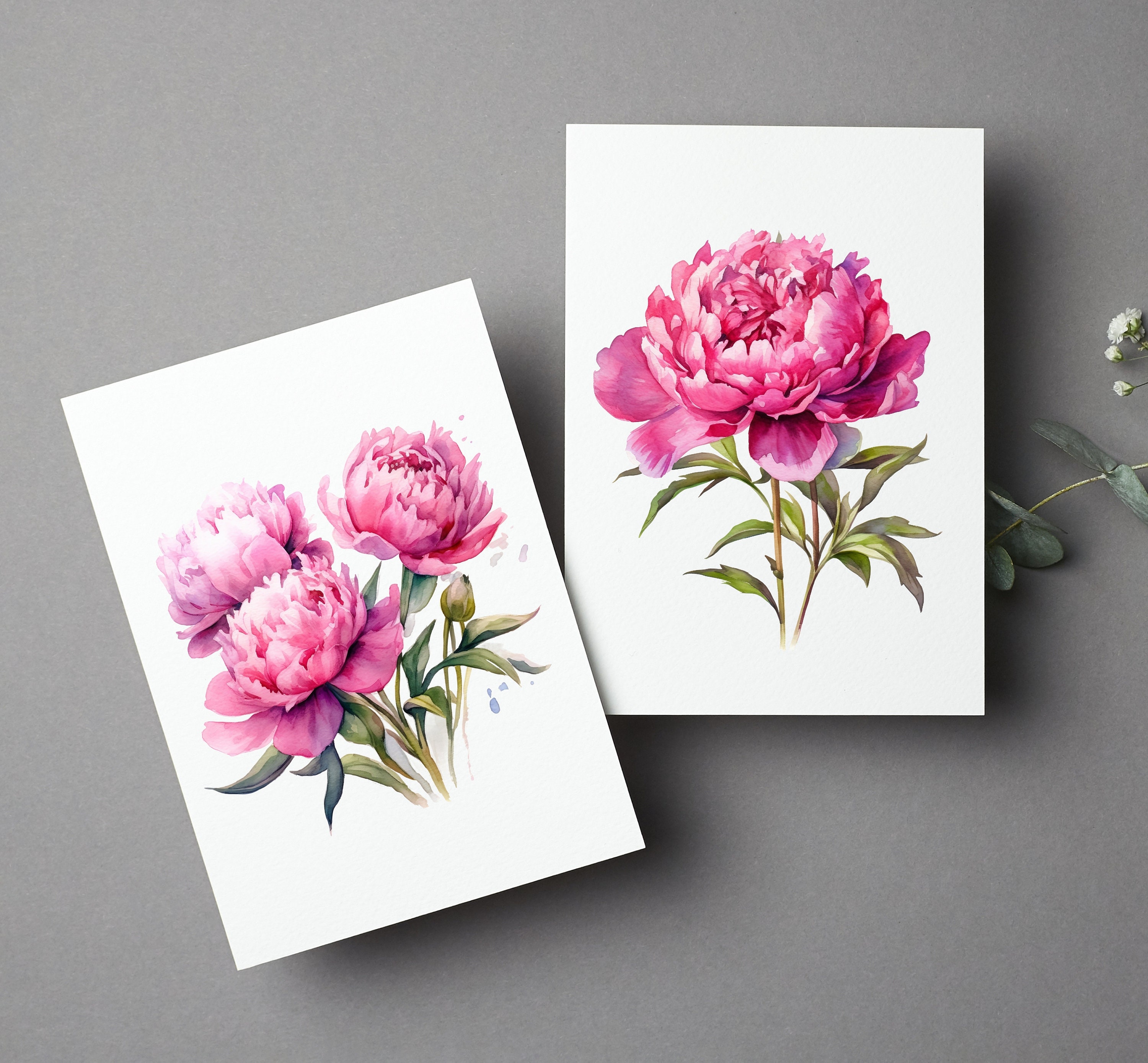 Pink Peony Watercolor Clipart Elegant Bohemian Flowers Romantic Wedding ...