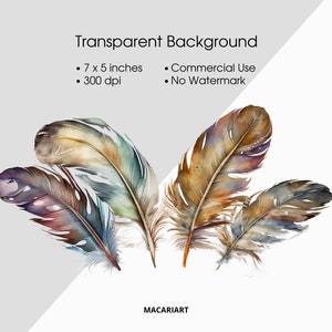 Feather Watercolor Clipart Boho Feather Digital Clipart Feather Wall ...