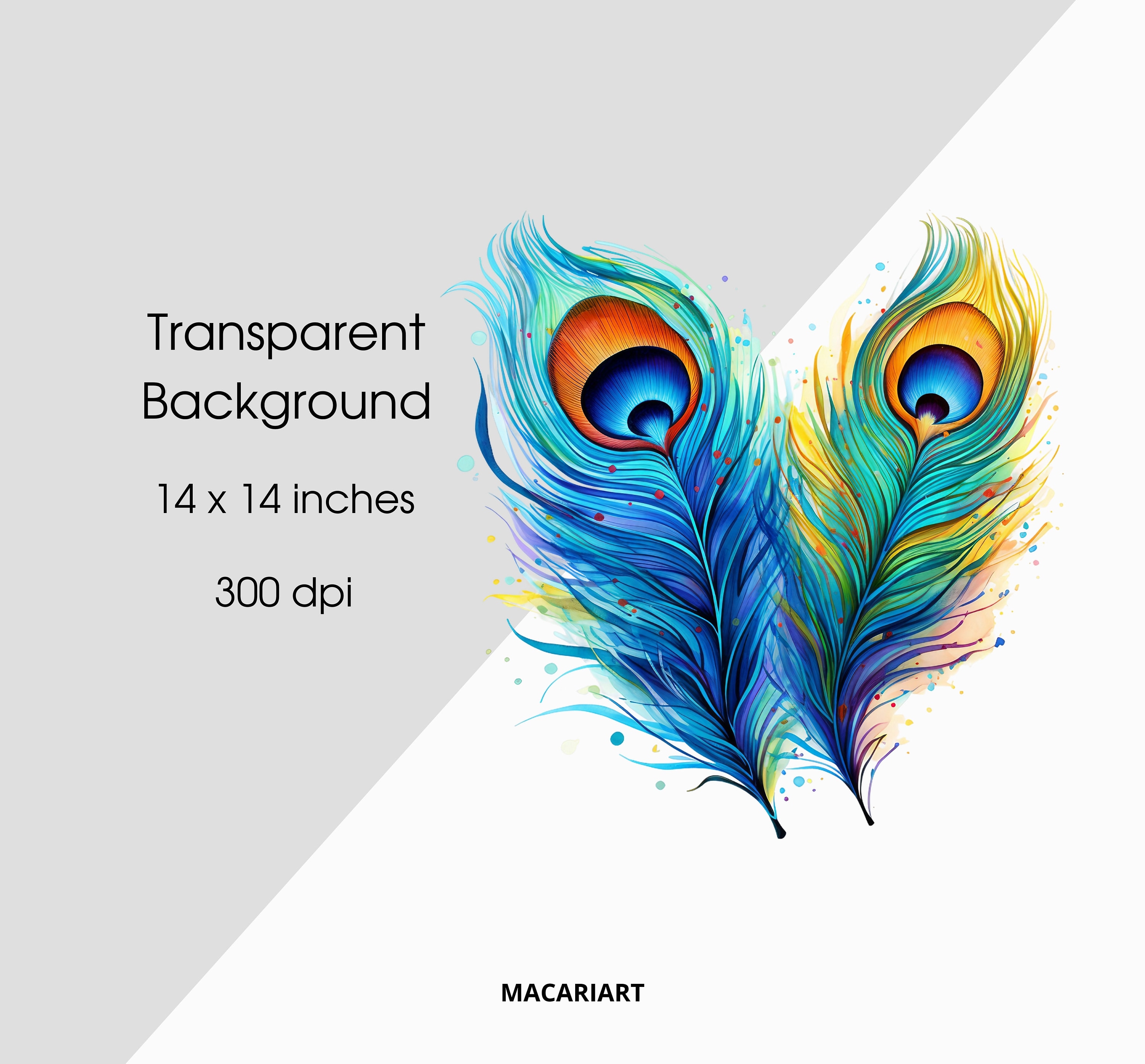 Peacock Feather Clipart Watercolor Colorful Feathers Bird Clip Art ...