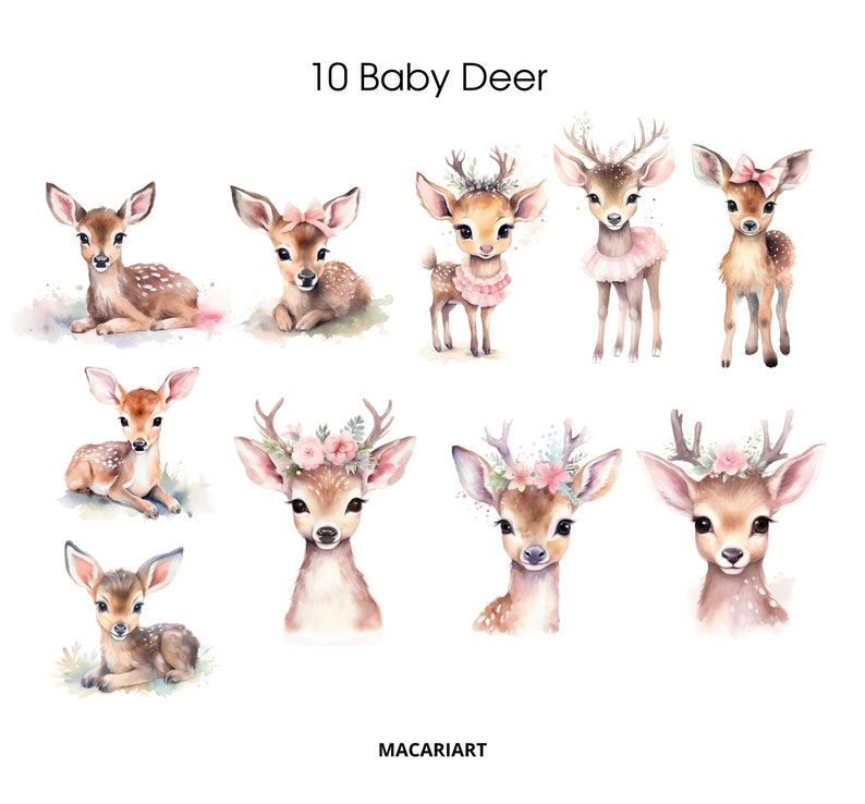 Watercolor Baby Deer Clipart Woodland Baby Animal Clipart Cute Girl ...
