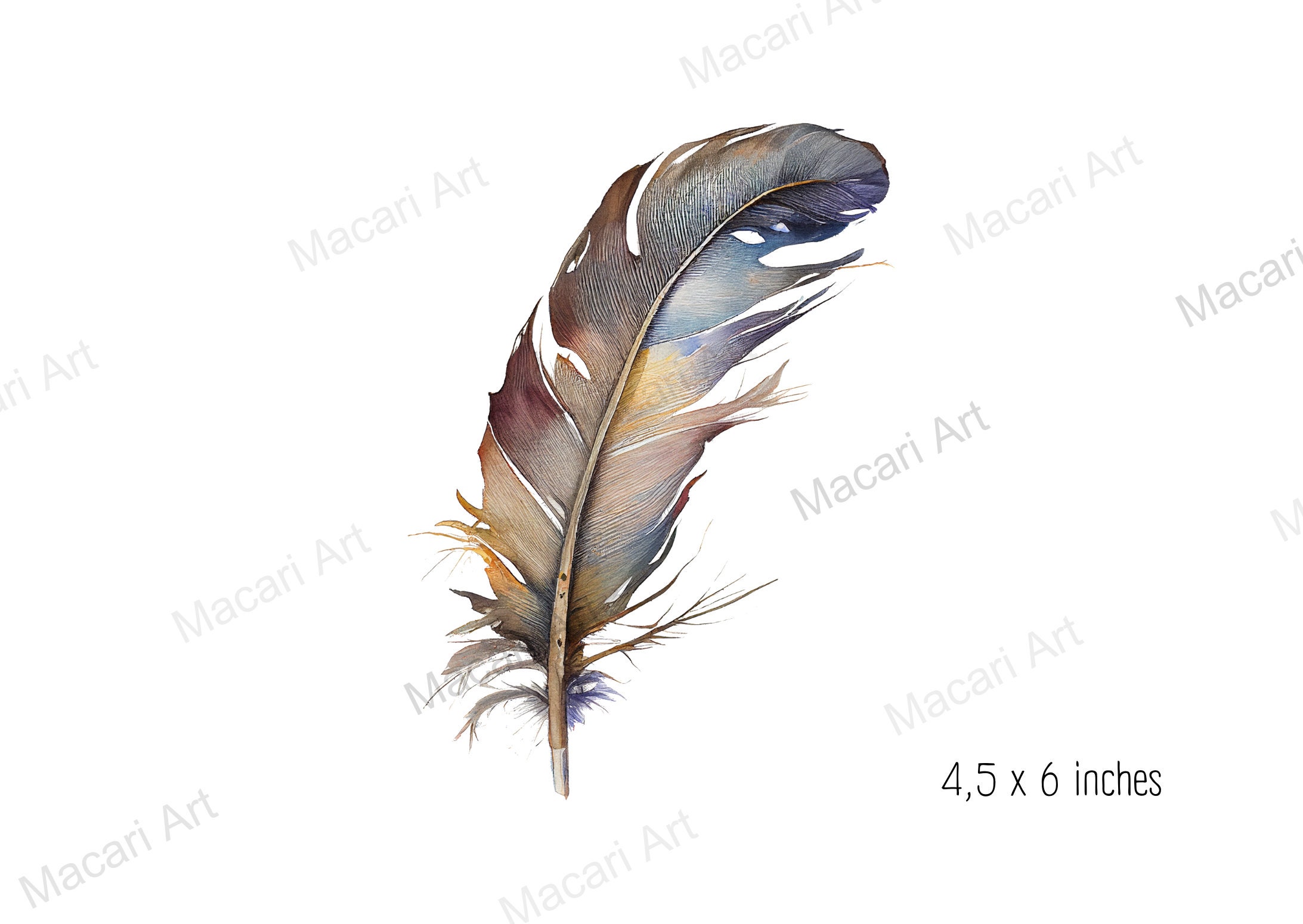Feather Watercolor Clipart Boho Feather Digital Clipart - Etsy