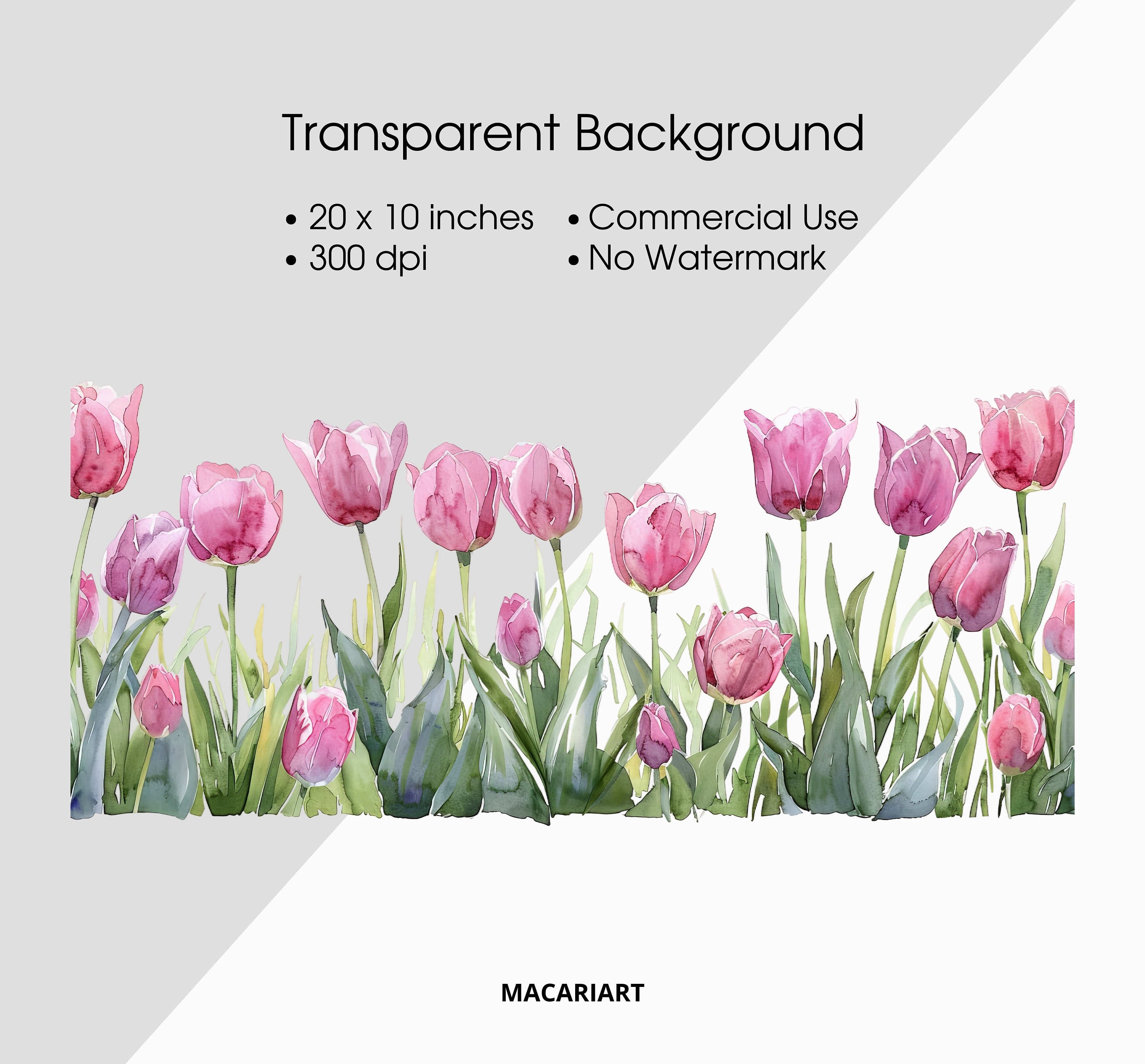 Watercolor Tulips Clipart Spring Flowers Pink Tulip Png Watercolor ...