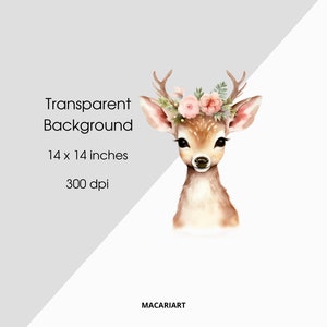 Watercolor Baby Deer Clipart Woodland Baby Animal Clipart Cute Girl ...