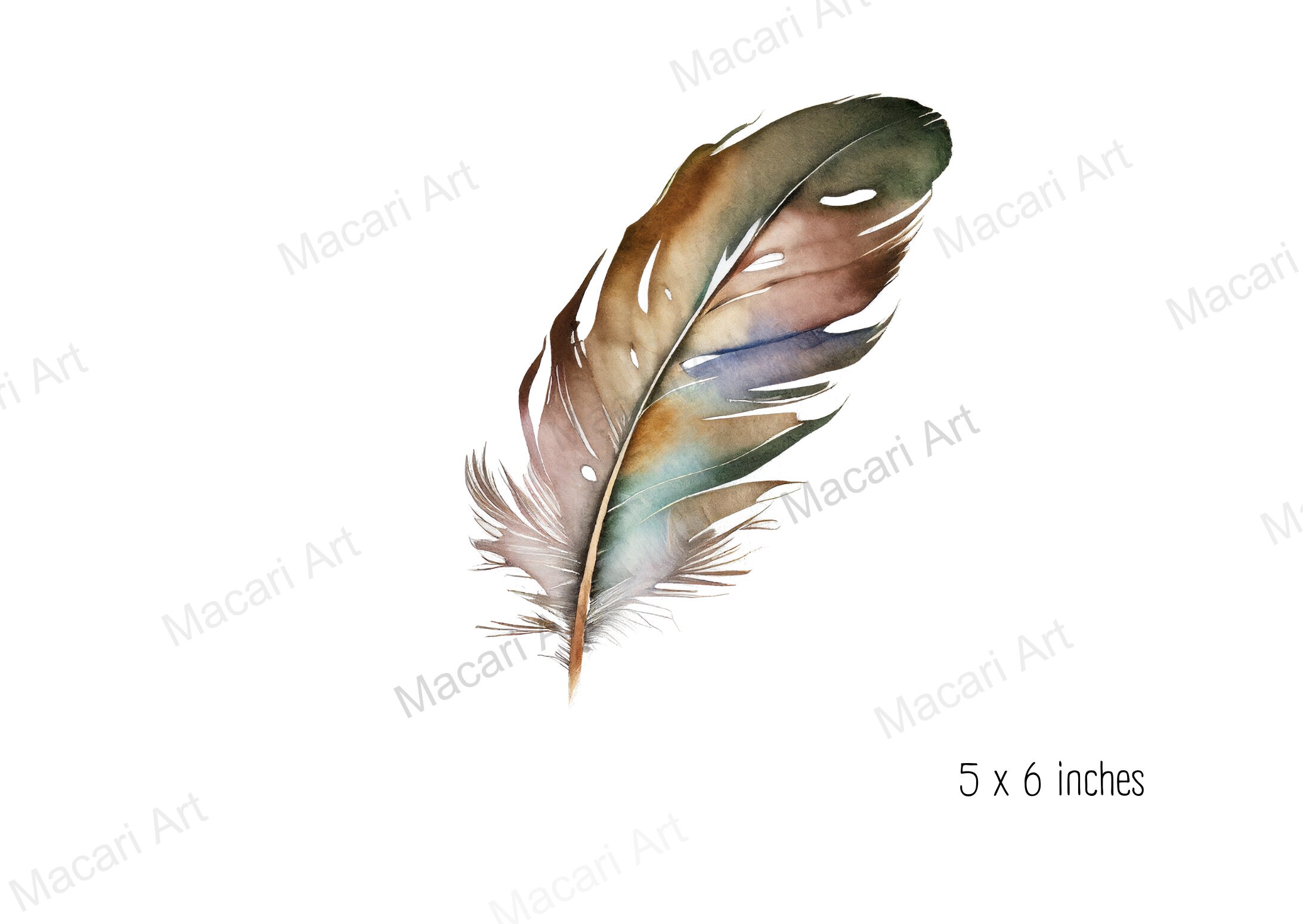 Feather Watercolor Clipart Boho Feather Digital Clipart - Etsy
