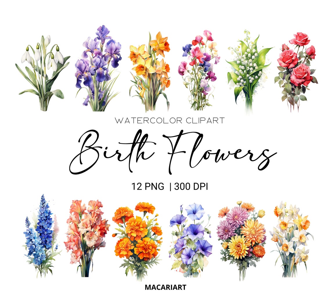 Watercolor Birth Month Flowers Clipart Bundle Digital Watercolor Birth ...