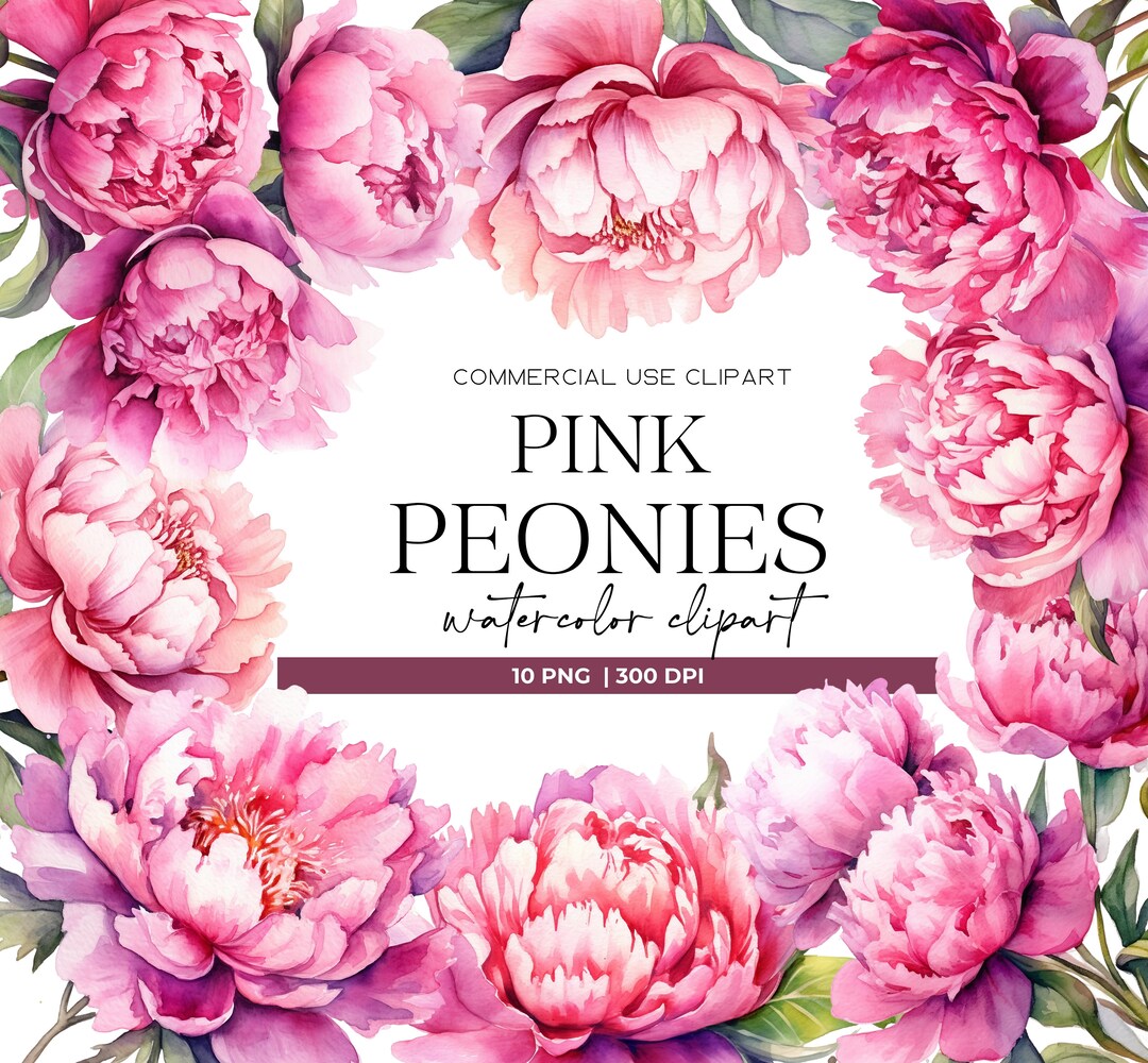 Pink Peony Watercolor Clipart Elegant Bohemian Flowers Romantic Wedding ...