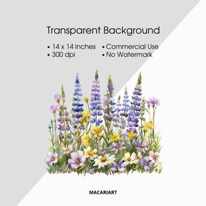 Wildflowers Borders Clipart Floral Watercolor Borders Lavender Flowers ...