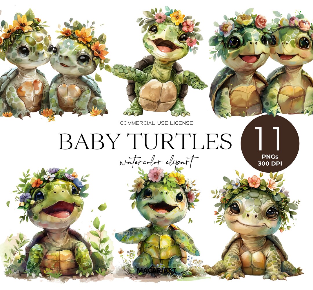 Cute Baby Turtle With Flowers Clipart Sea Turtle Png Watercolor Ocean ...