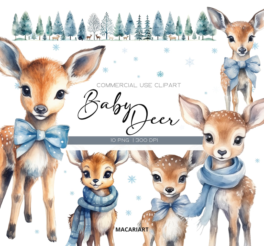 Watercolor Baby Deer Clipart Woodland Baby Animal Clipart Woodland Baby ...