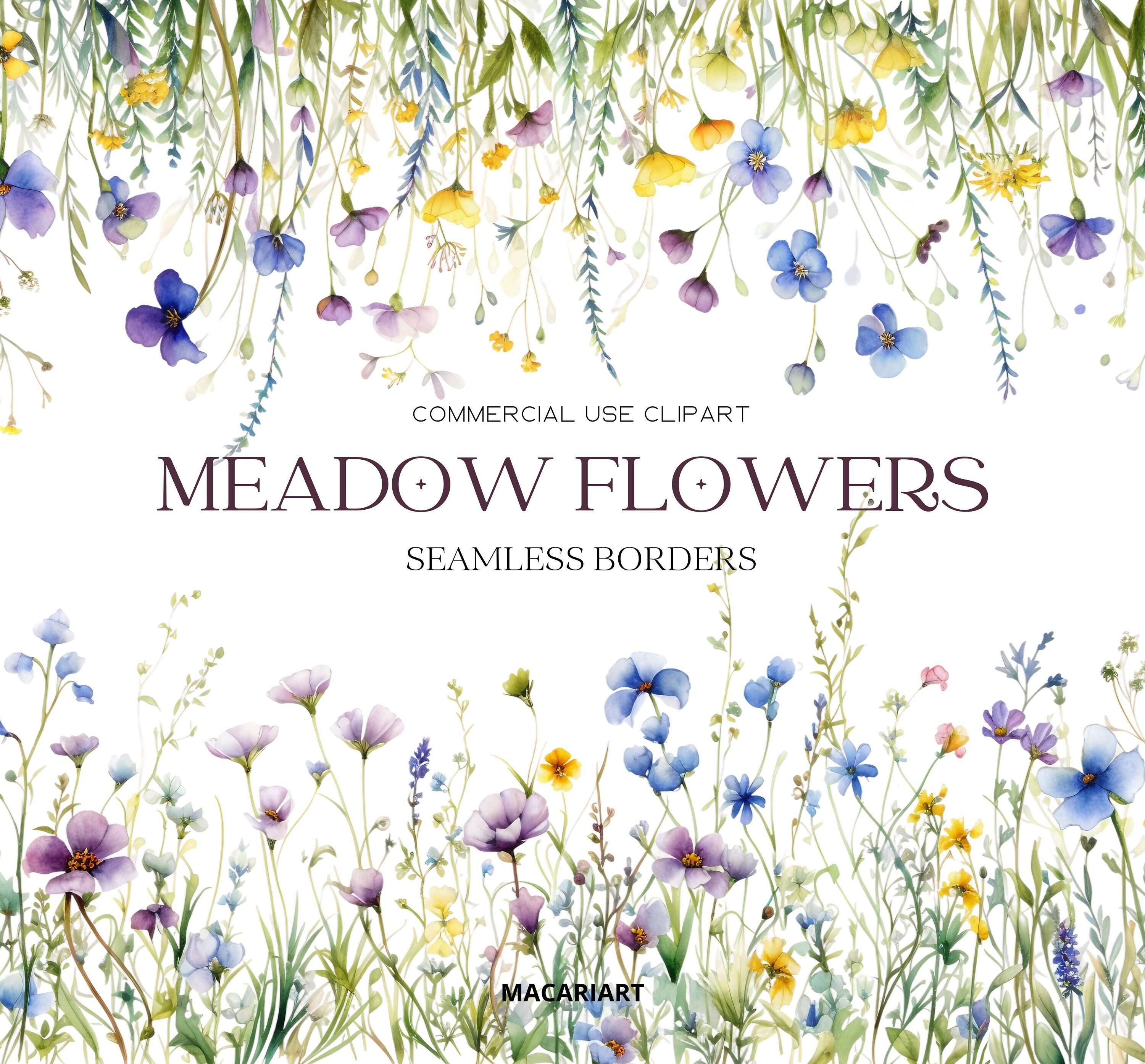 Meadow Flowers Borders Clipart Floral Watercolor Borders Flowers ...