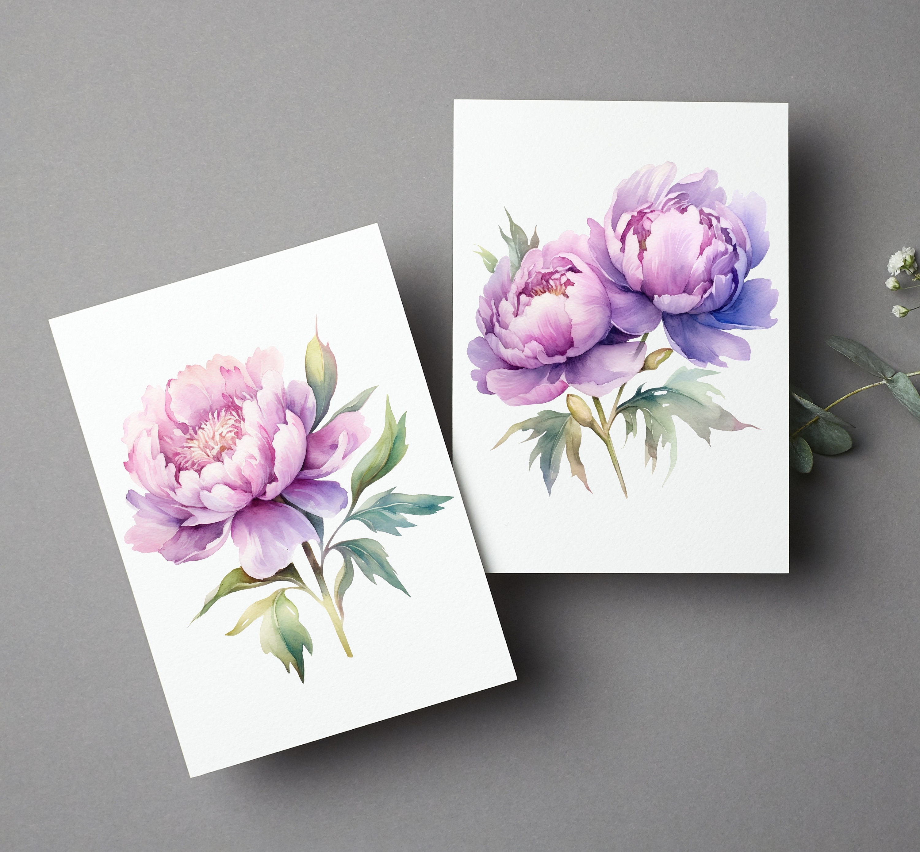 Peony Watercolor Clipart Elegant Bohemian Flowers Romantic Wedding ...