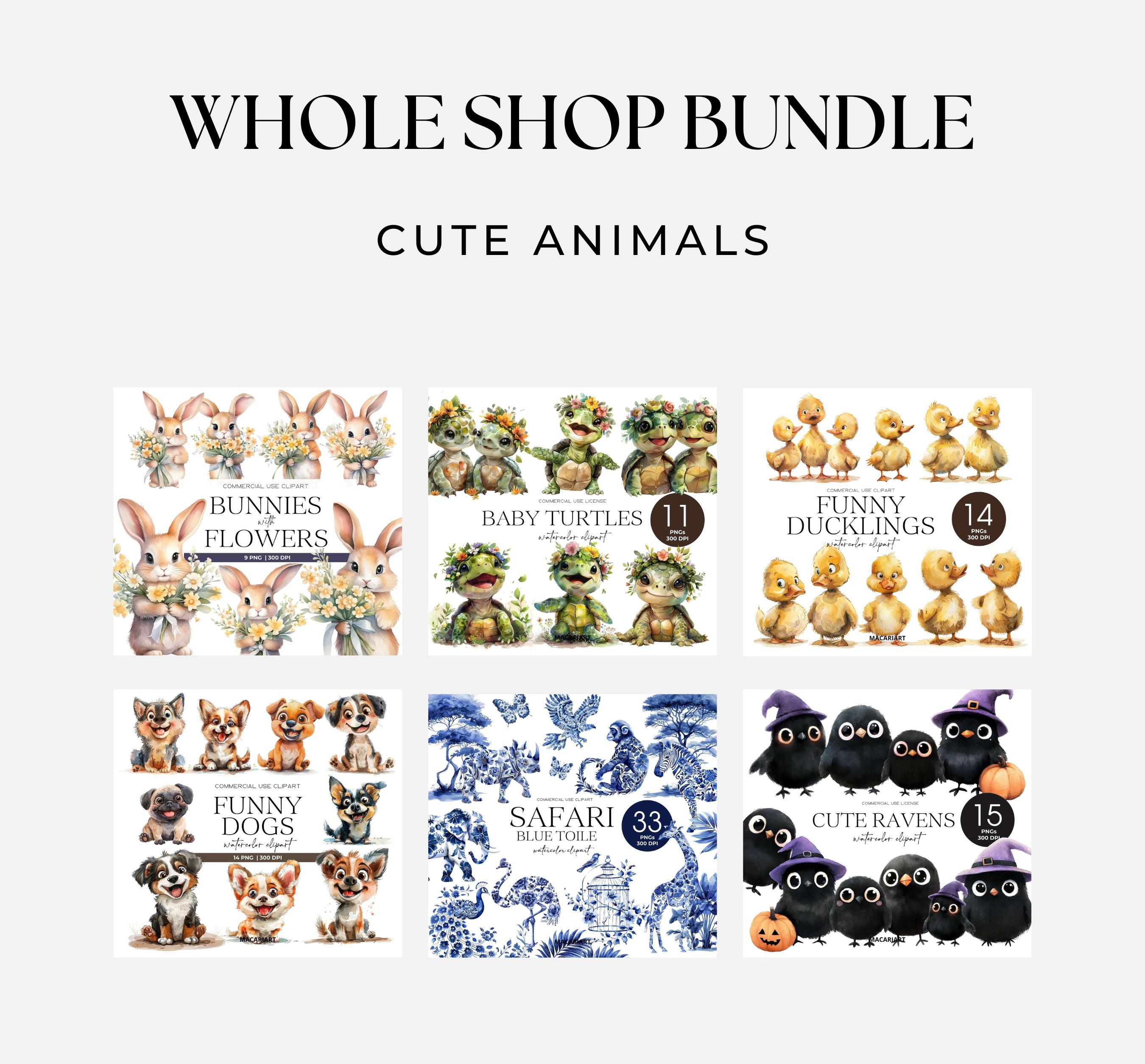 Whole Shop Clipart Bundle Monthly Pass Entire Shop Bundle All Access ...
