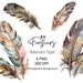 Feather Watercolor Clipart Boho Feather Digital Clipart - Etsy