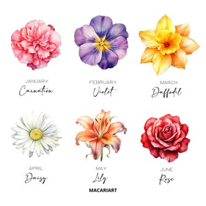 Watercolor Birth Month Flowers Clipart Bundle Digital Watercolor Birth ...