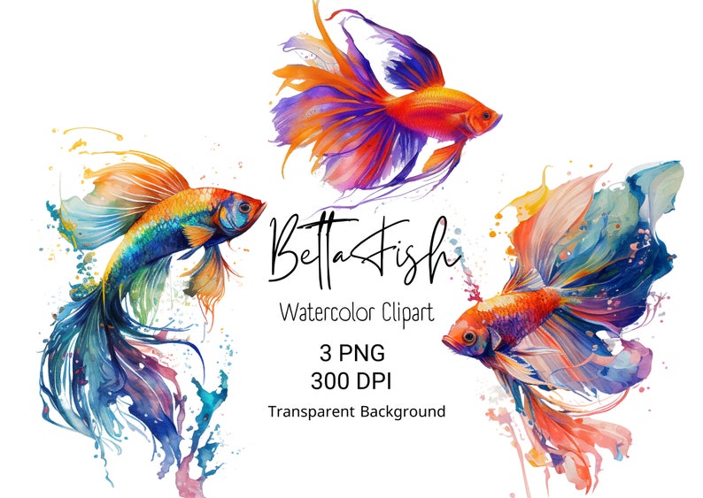Watercolor Betta Fish Clipart Digital Clipart Fish Wall Decor ...